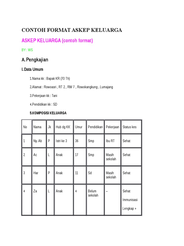 Format Asuhan Keperawatan Keluarga | PDF | Pengembangan Diri