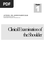 Musculoskeletal Clinical Translation Framework | PDF | Pain | Neuroscience