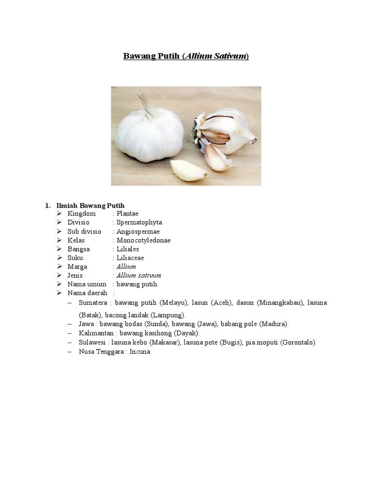 Manfaat Bawang Putih untuk Kesehatan | PDF | Pengembangan Diri ...