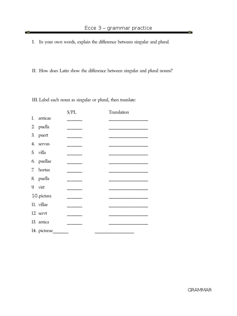 Latin Singular and Plural Grammar Practice | PDF | Grammar | Philology