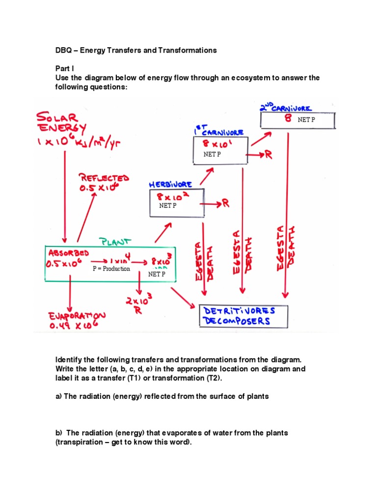 5DBQ - Energy Transfers and Transformations | PDF | Second Law Of ...