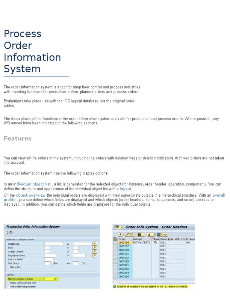 Order Information System Guide | PDF | Computers