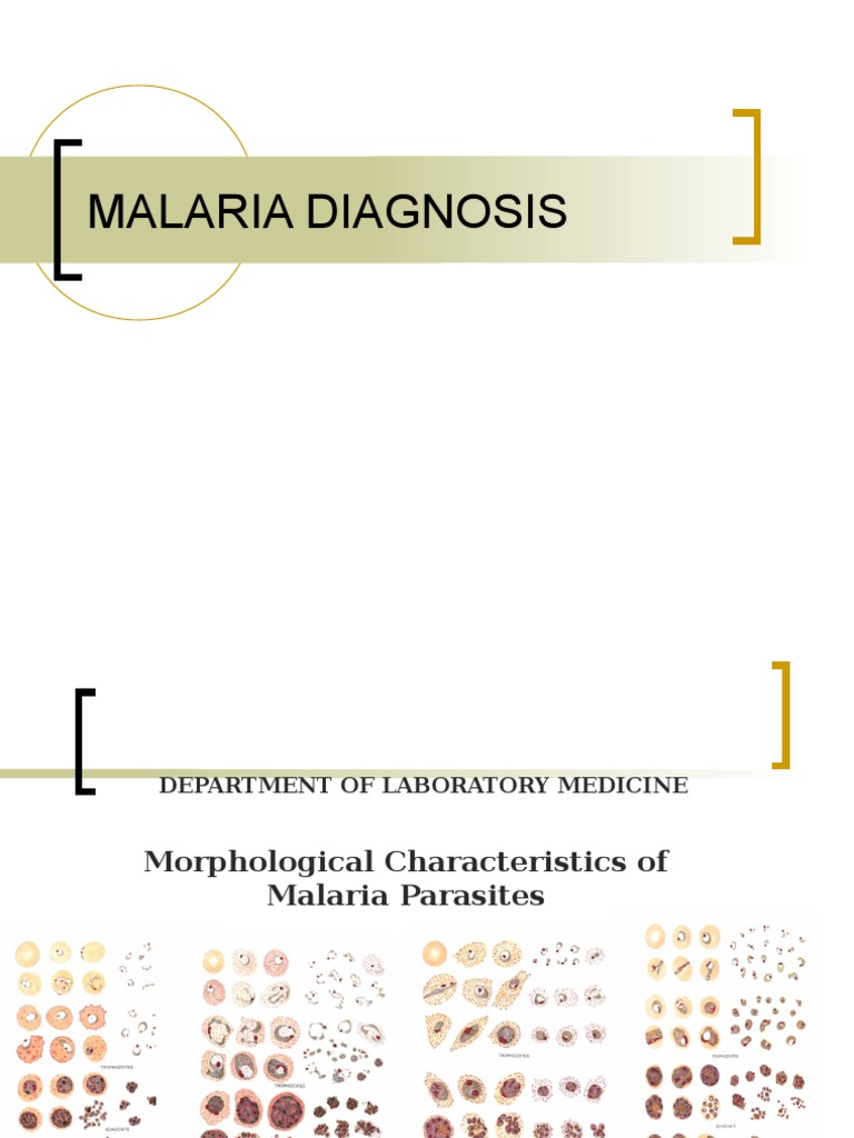 Morphological Characteristics of Malaria Parasites | Plasmodium ...
