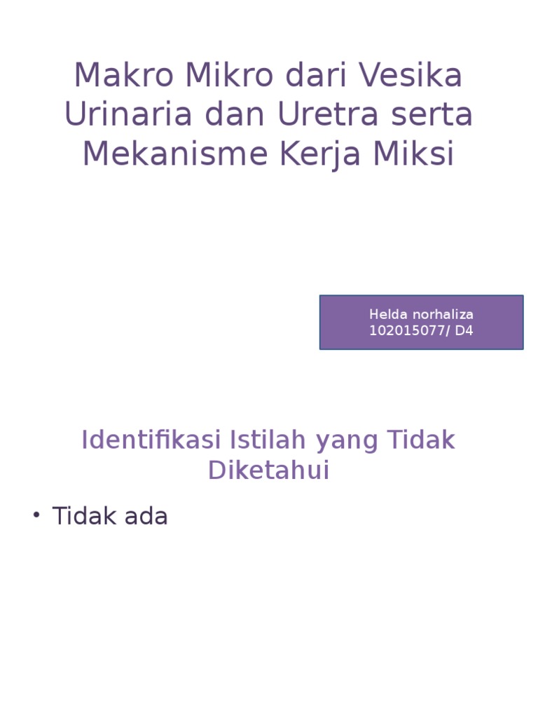 Makro Mikro Dari Vesika Urinaria Dan Uretra Serta | PDF