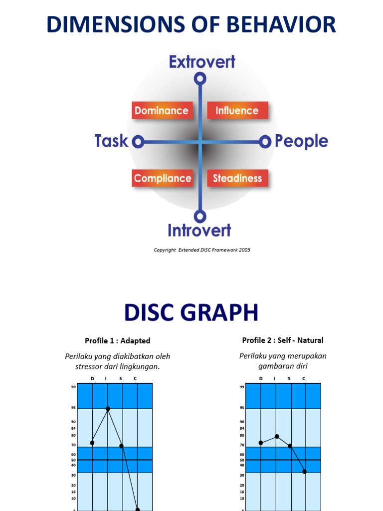 Disc Graph Profile | PDF