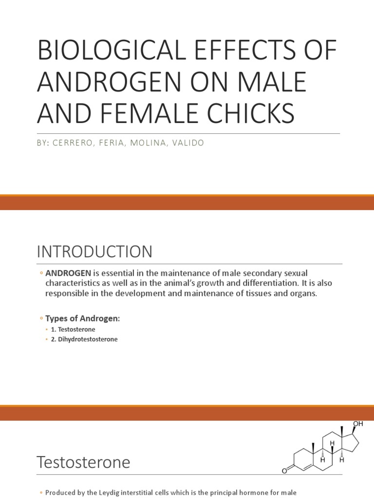 Effects of Androgens on Chick Development | PDF | Androgen | Estrogen
