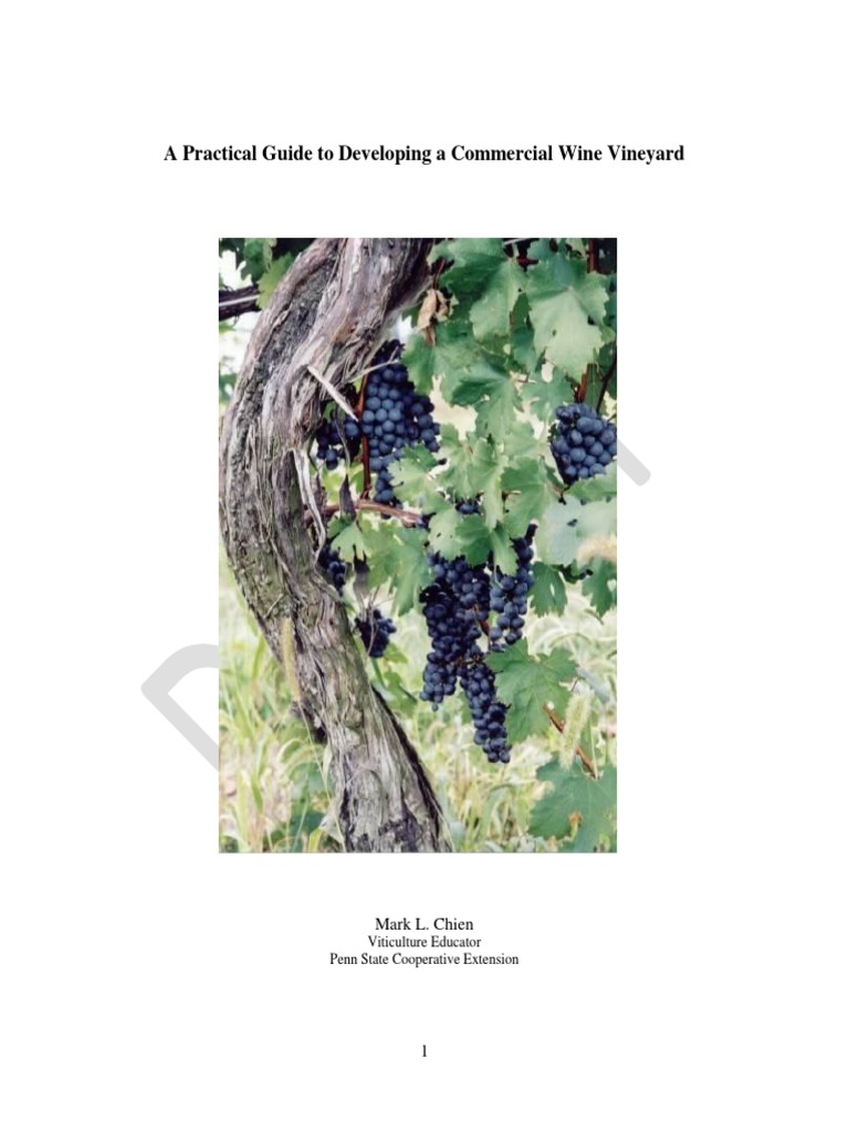 Developing a Wine Vineyard Guide | PDF | Vineyard | Viticulture