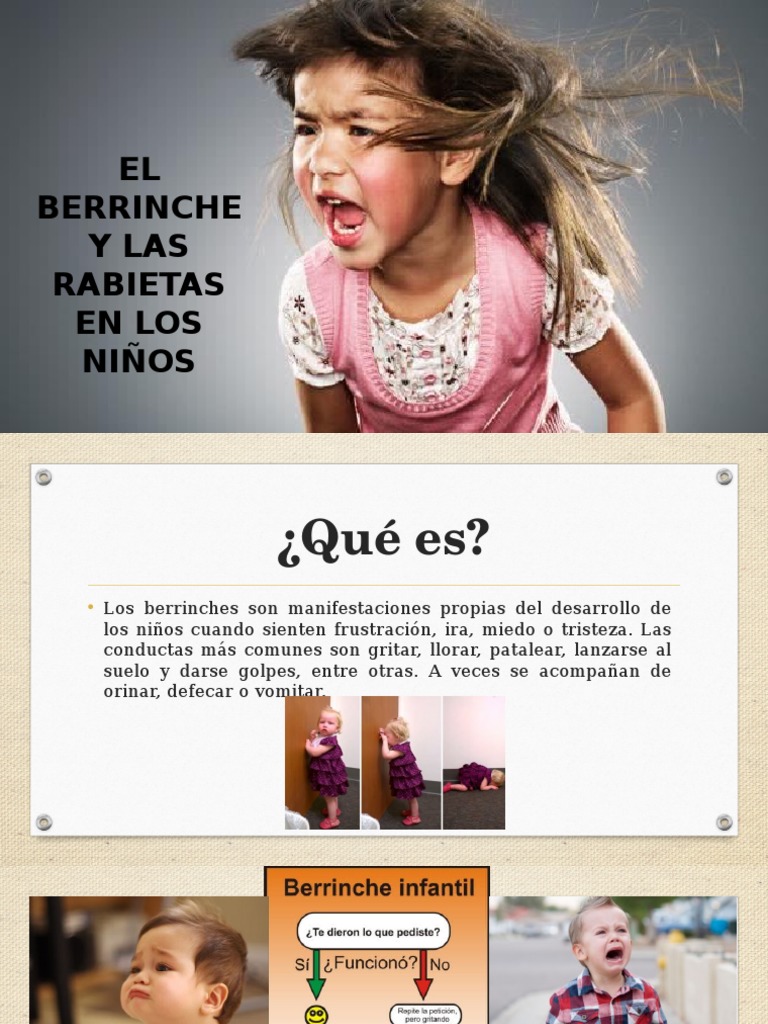 Berrinche | PDF | Toma de decisiones | Ciencias del comportamiento