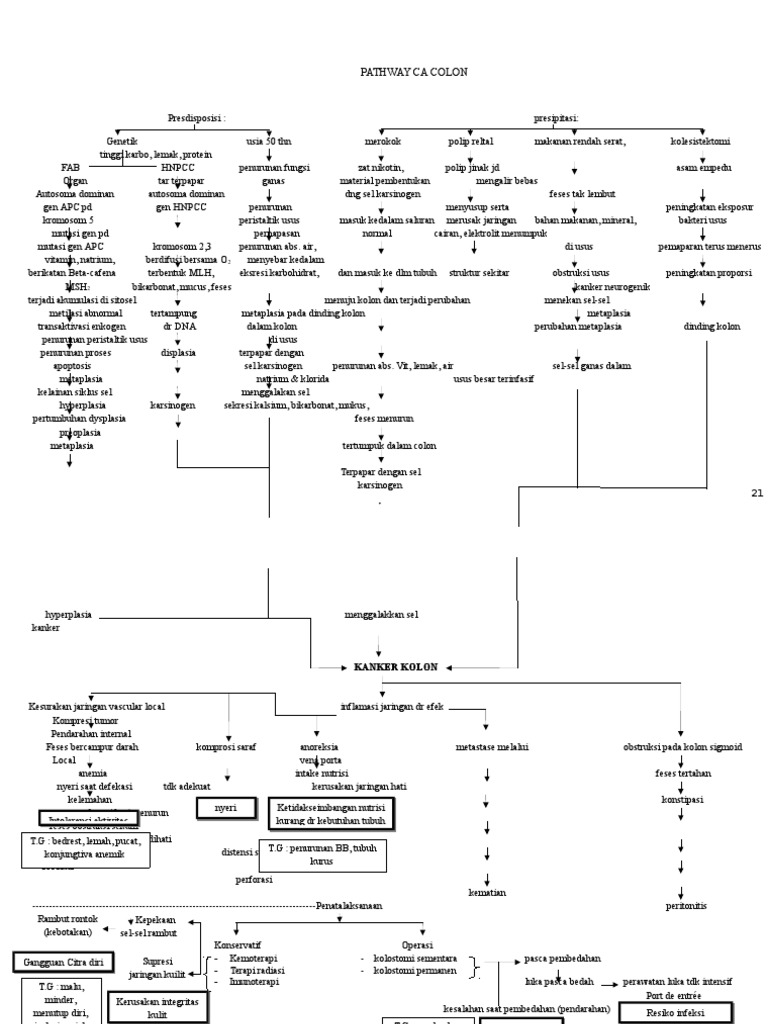Pathway CA Colon | PDF