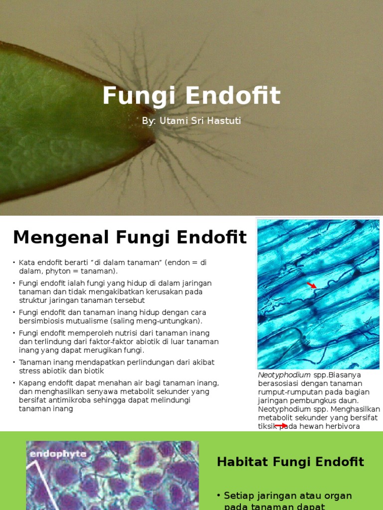 Fungi Endofit | PDF