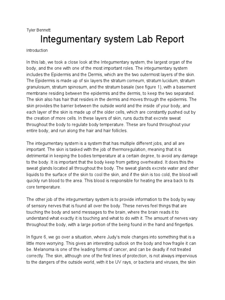 Integumentary System Lab Report Tyler Bennett Pdf Skin