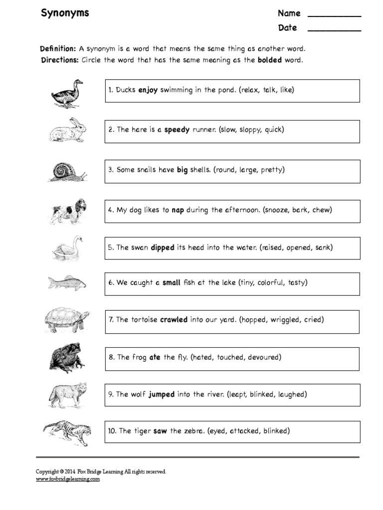 Synonyms Worksheet | PDF | Language Arts & Discipline