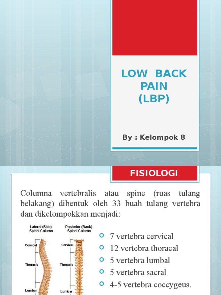 Low Back Pain | PDF