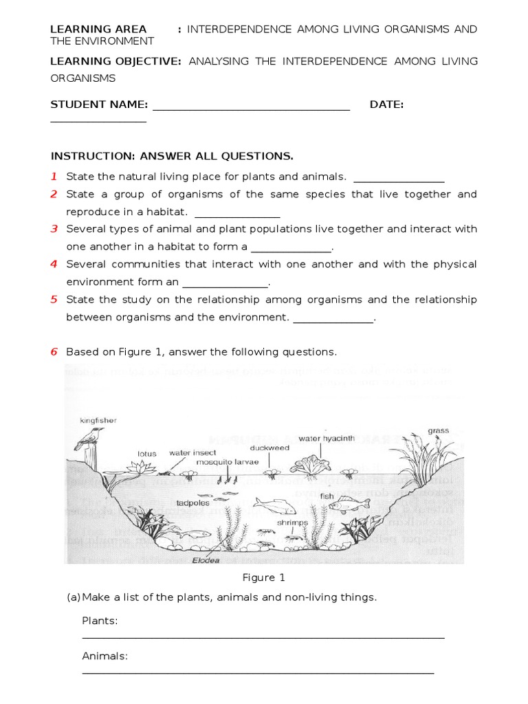 Worksheet F2 Ecosystem | PDF