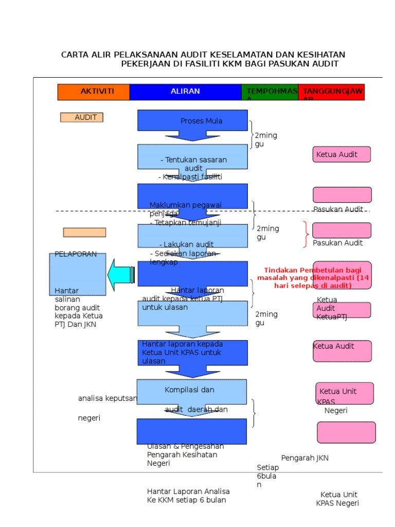 Carta Alir Audit | PDF
