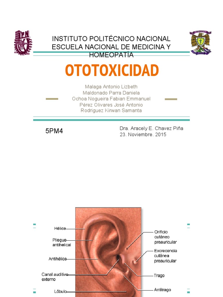 Ototoxicidad 160224054559 | PDF | Medicina CLINICA | Medicina