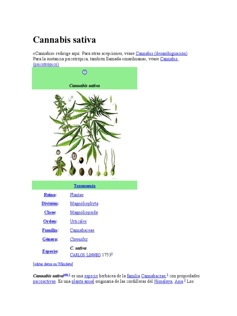 Cannabis Sativa | PDF | Opio | Plantas