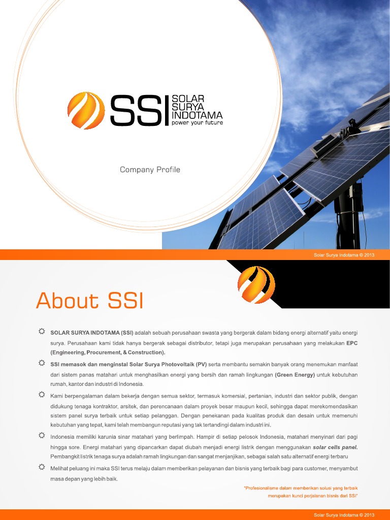 Company Profile SSI | PDF