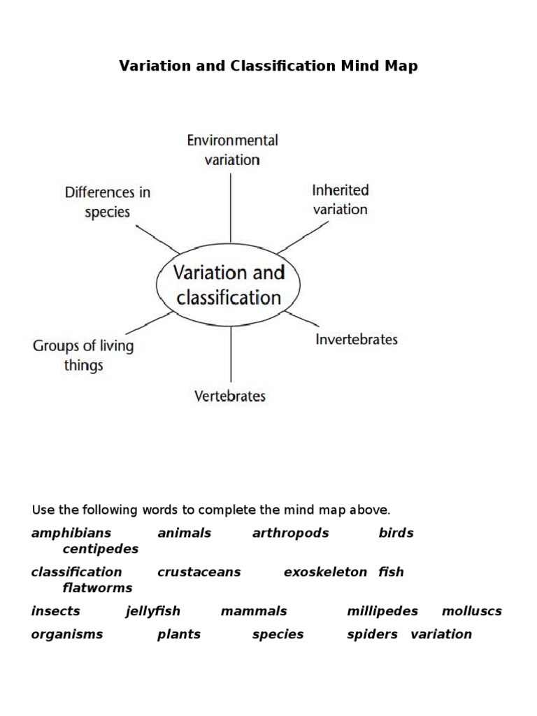 Variation and Classification Mind Map | PDF