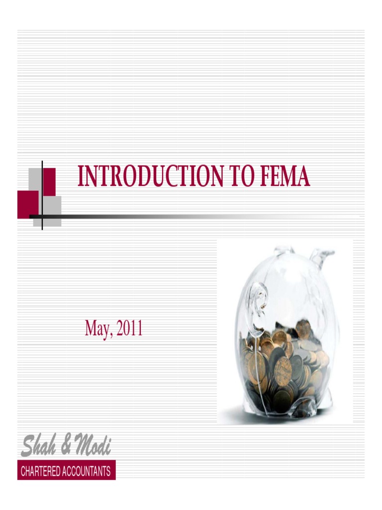 Overview of FEMA PDF | PDF