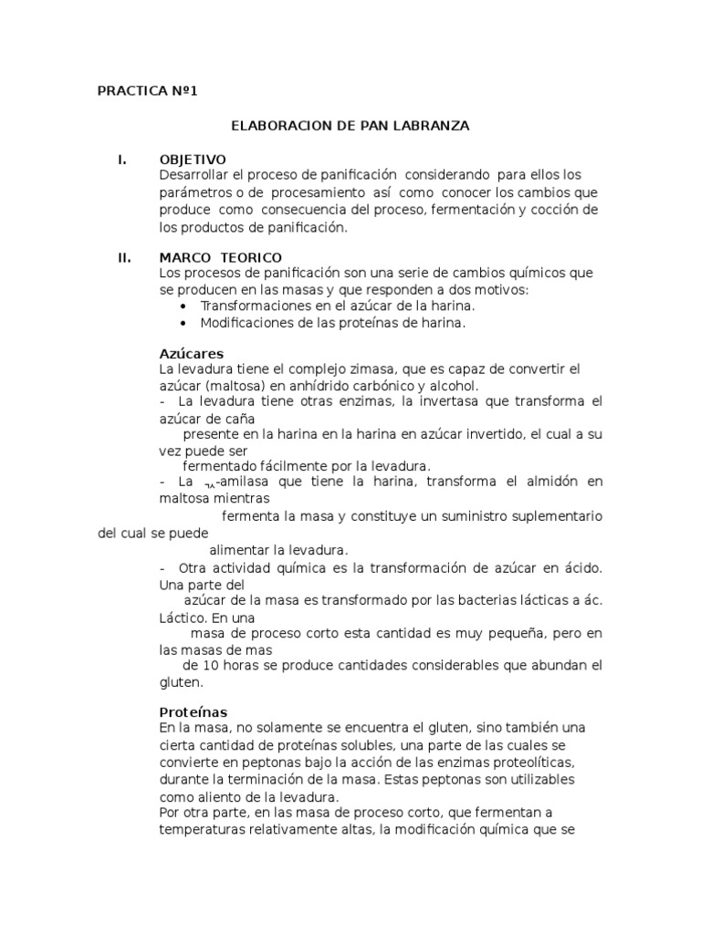 Pan de Labranza No | Descargar gratis PDF | Panes | Levadura