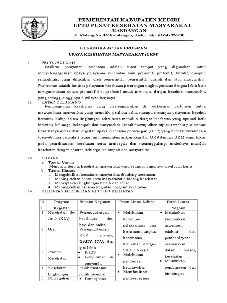 5.1.3.1 Kak Program Ukm | PDF