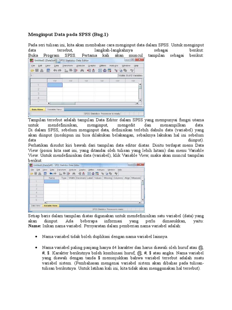 Cara Menginput Data Pada SPSS | PDF