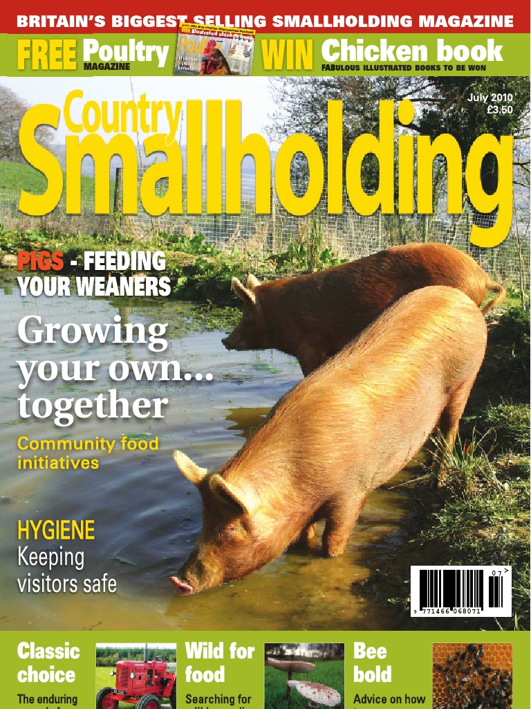 Country Small Holding July 2010 | PDF | Apple | Poultry