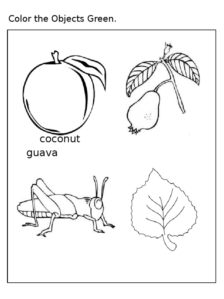 Color The Objects Green | PDF