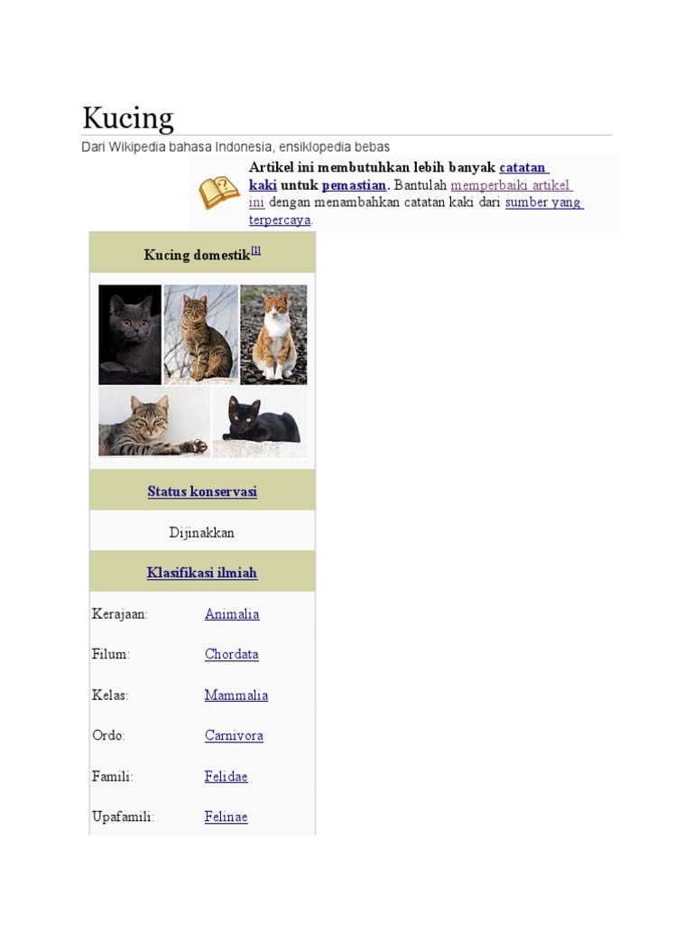 Kucing | PDF