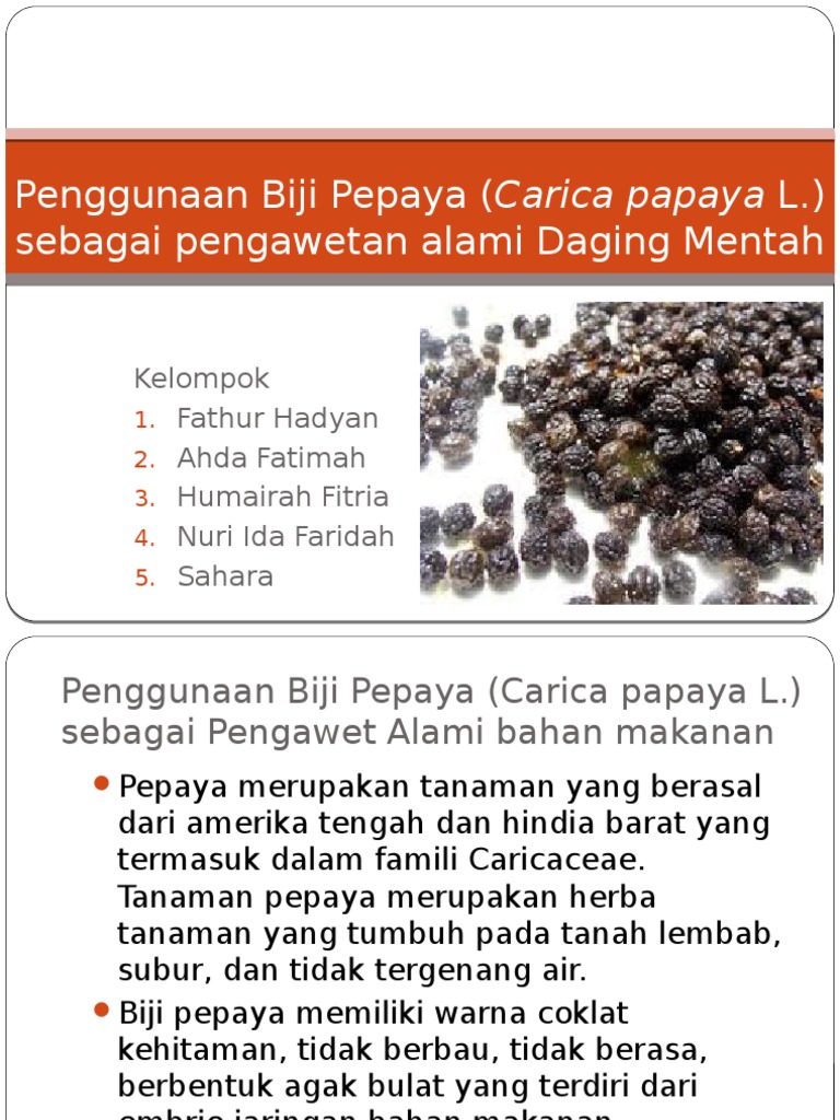 Penggunaan Biji Pepaya (Carica Papaya L | PDF