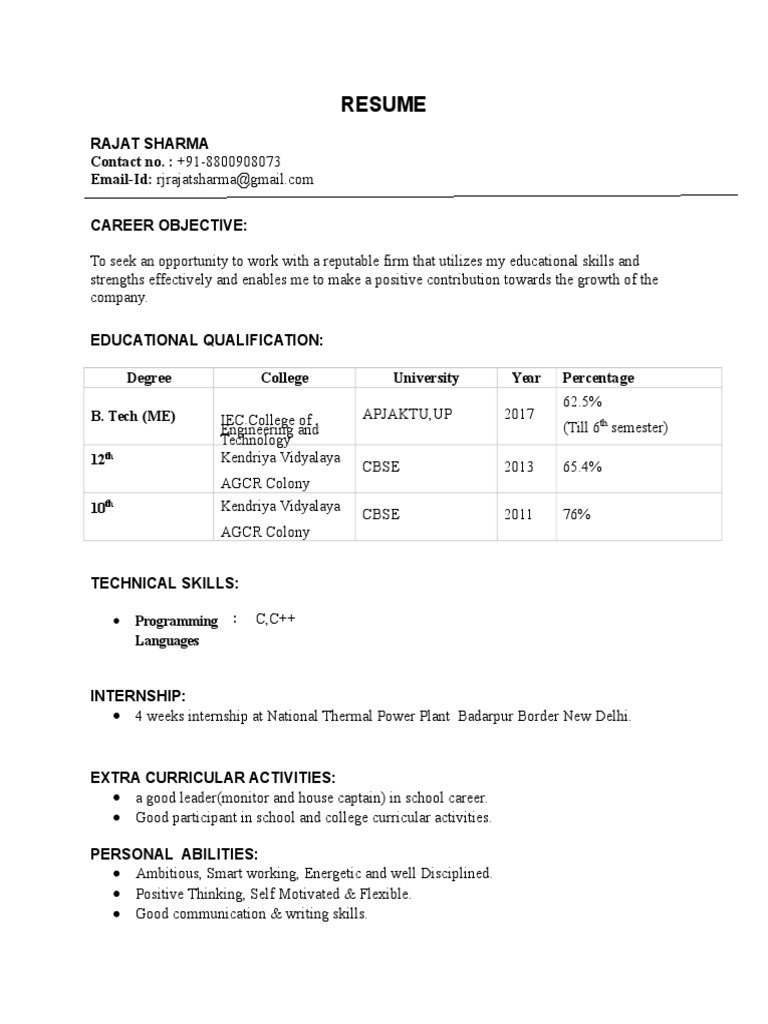 Resume: Programming Languages | PDF