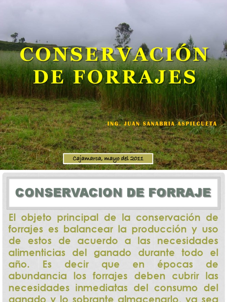 Conservacion de Forraje Diplomado | PDF | Productos quimicos | Agricultura
