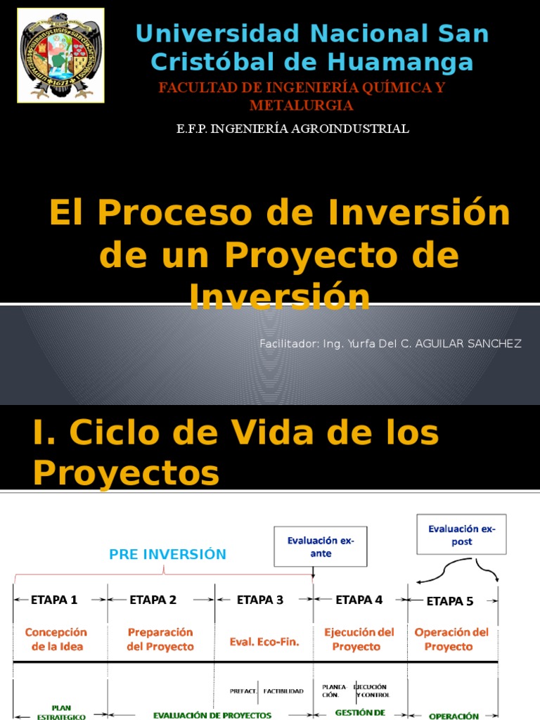 II. El Proceso de Inversión de Un Proyecto de Inversión | PDF ...
