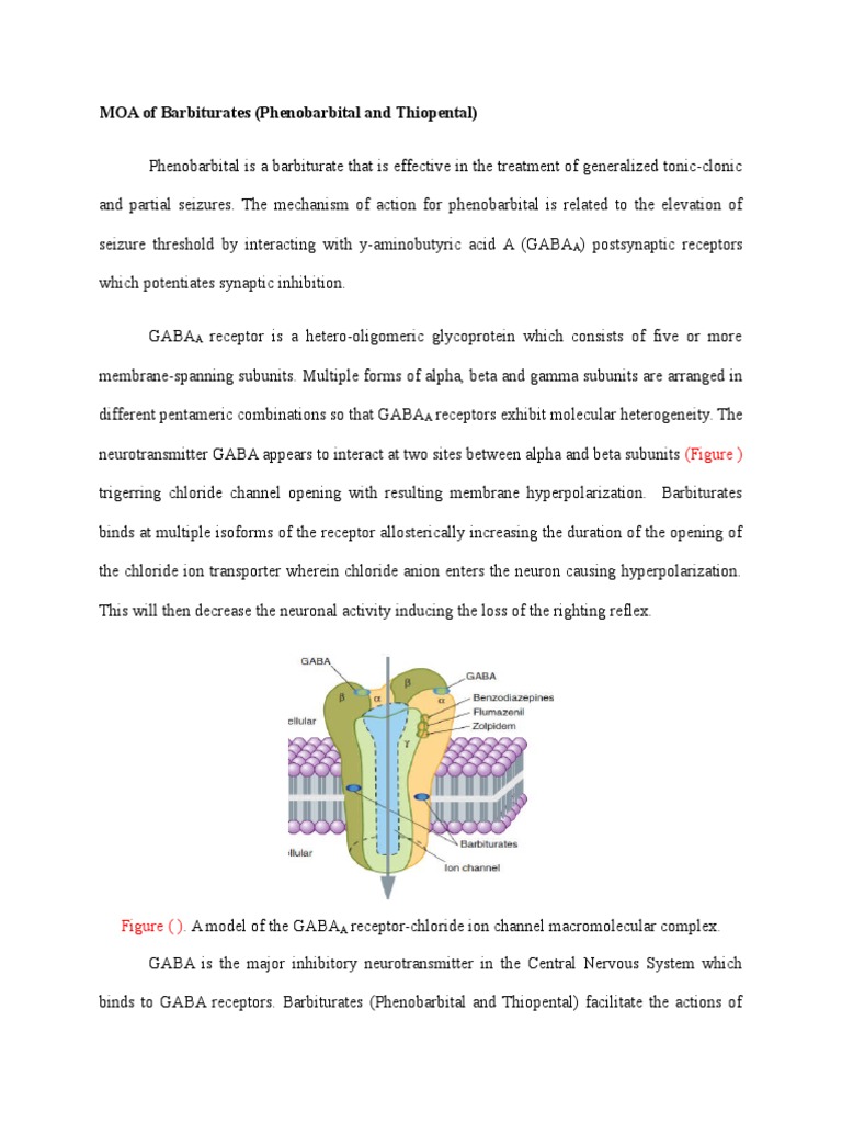 MOA of Barbiturates | Inhibitory Postsynaptic Potential | Gamma ...