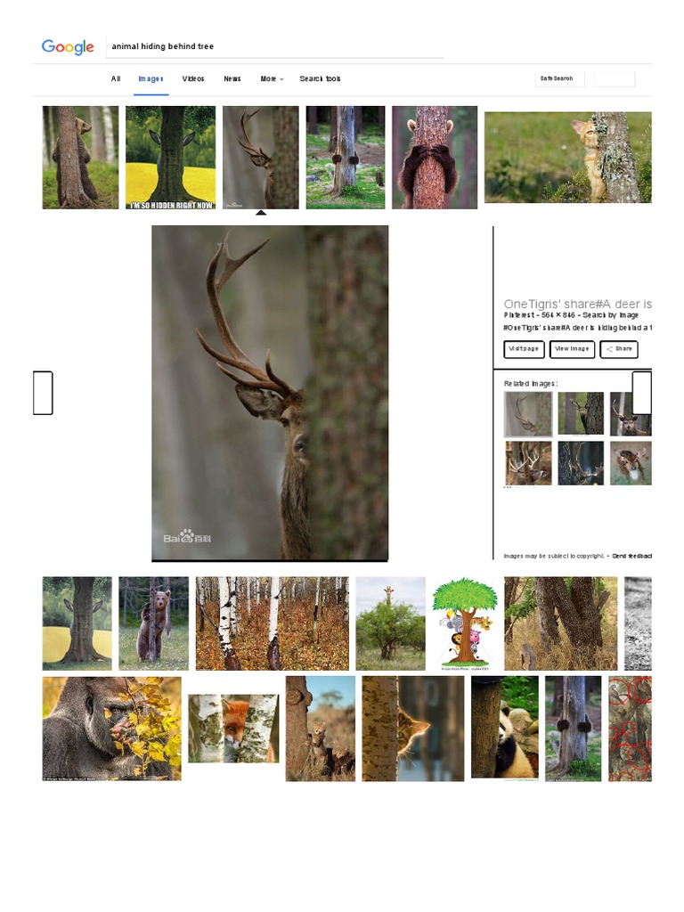 Animal Hiding Behind Tree - Google Search | PDF