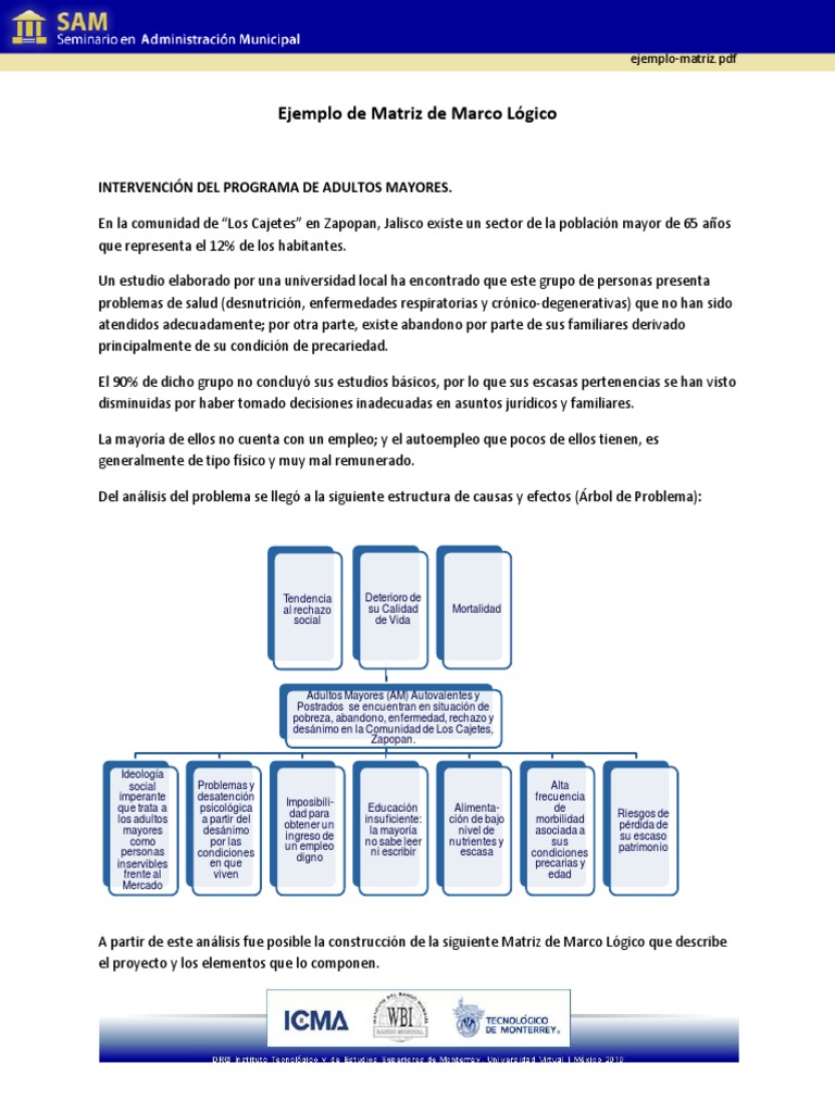 Ejemplo Matriz PDF | PDF | Adultos | Vejez