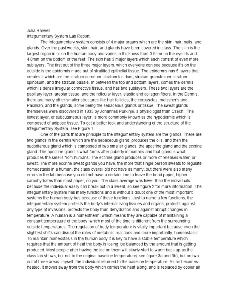 Integumentary System Lab Overview | PDF | Integumentary System | Senses