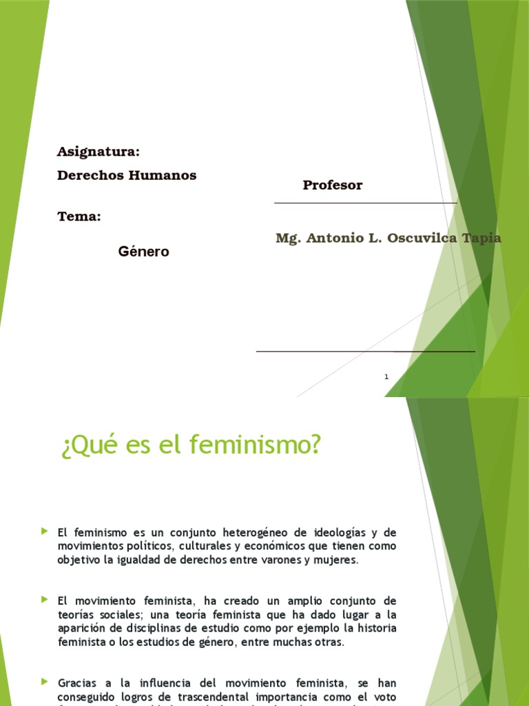 Feminismo y Violencia de Género: Claves | PDF | Feminismo | Estudios de ...