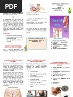 Triptíco VPH | PDF | Cáncer | Rtt