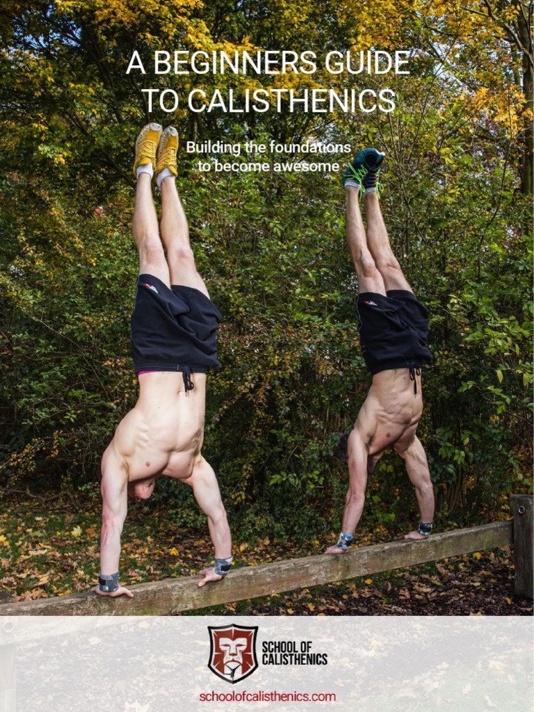 A Beginners Guide To Calisthenics | PDF | Recreation | Self Care