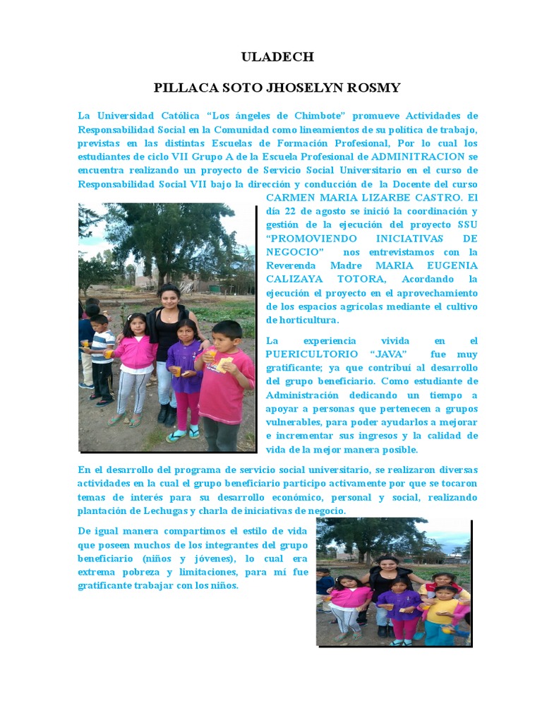 Pillaca Soto Jhoselyn | PDF