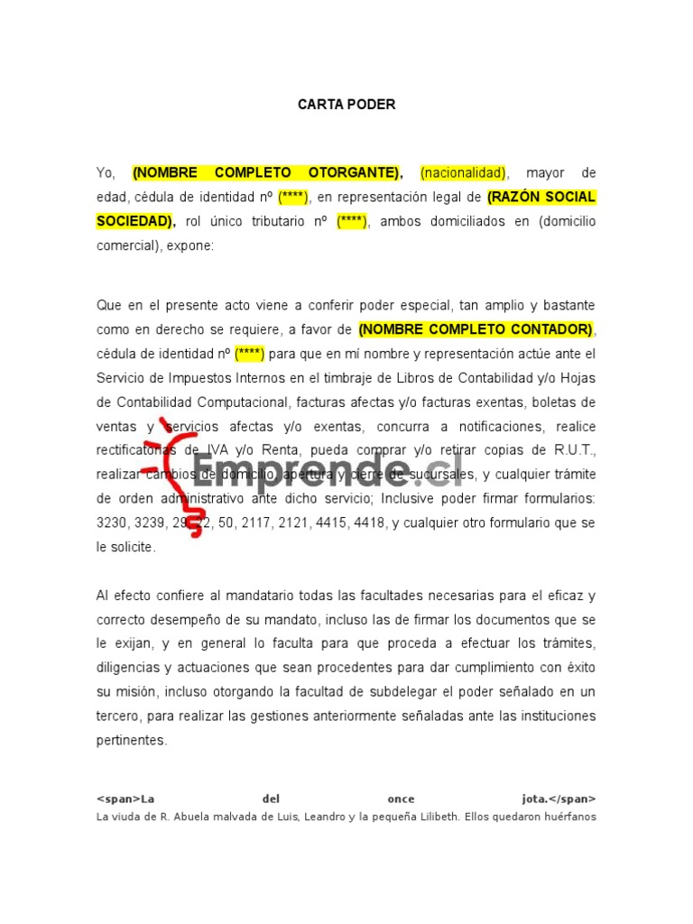 Carta de poder amplio | PDF | Contabilidad | Ocio