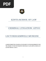 Police Case File PDF | PDF | Crime & Violence | Crime Thriller