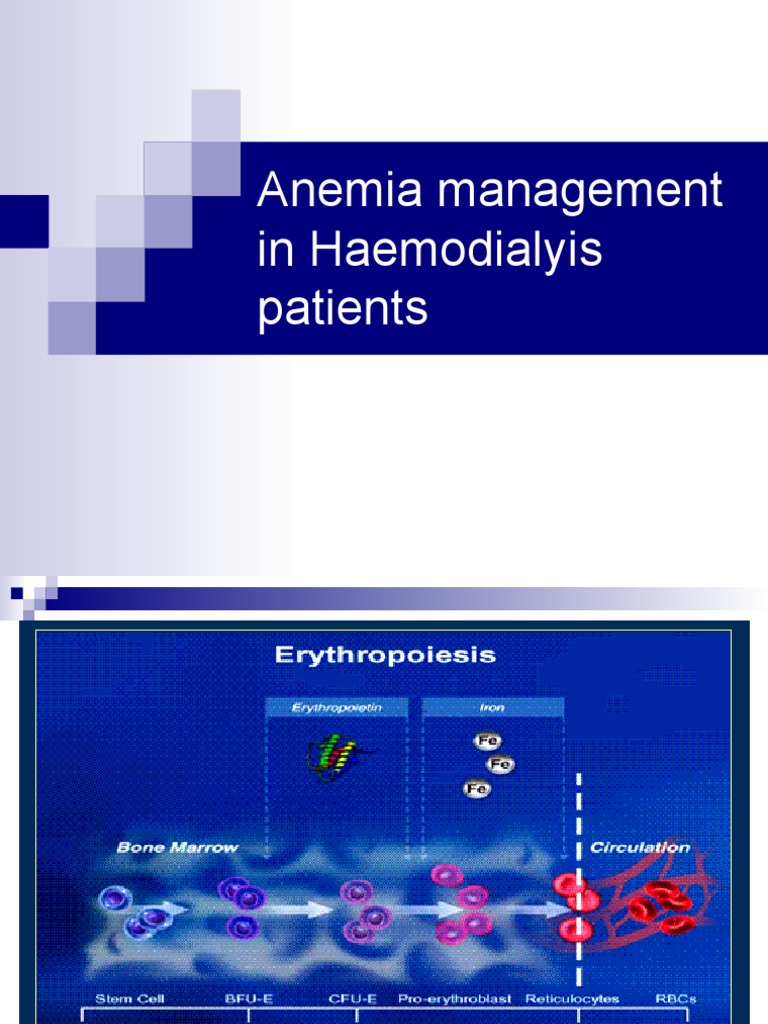 Anemia Management in HD Patients | PDF | Anemia | Chronic Kidney Disease
