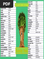 Spanish Family Tree Vocabulary Guide | PDF | Family | Stepfamily