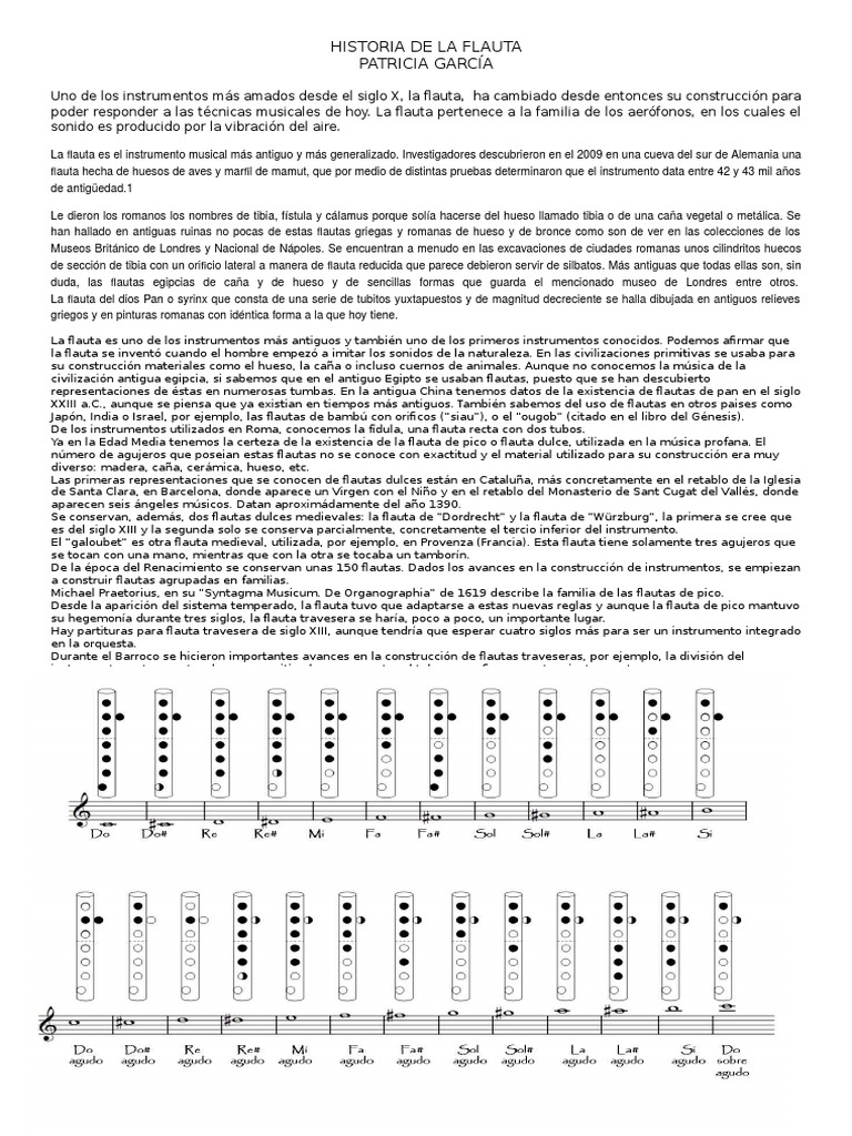 Historia de La Flauta | PDF | Flauta | Instrumentos musicales