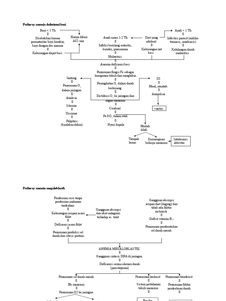 Pathway Anemia | PDF
