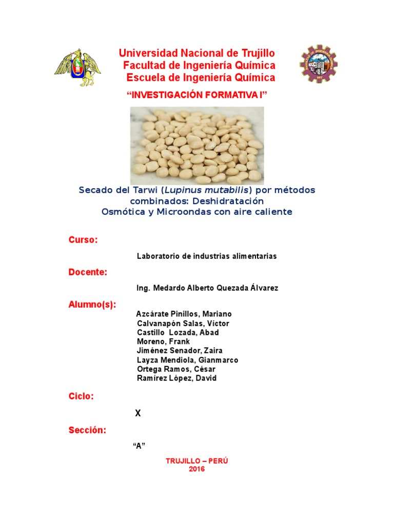 Pinga | PDF | Science | Ingeniería