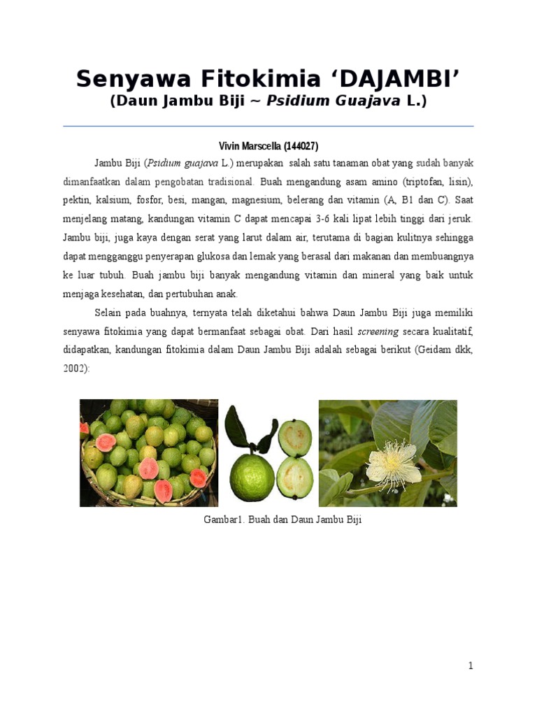 Daun Jambu Biji | PDF
